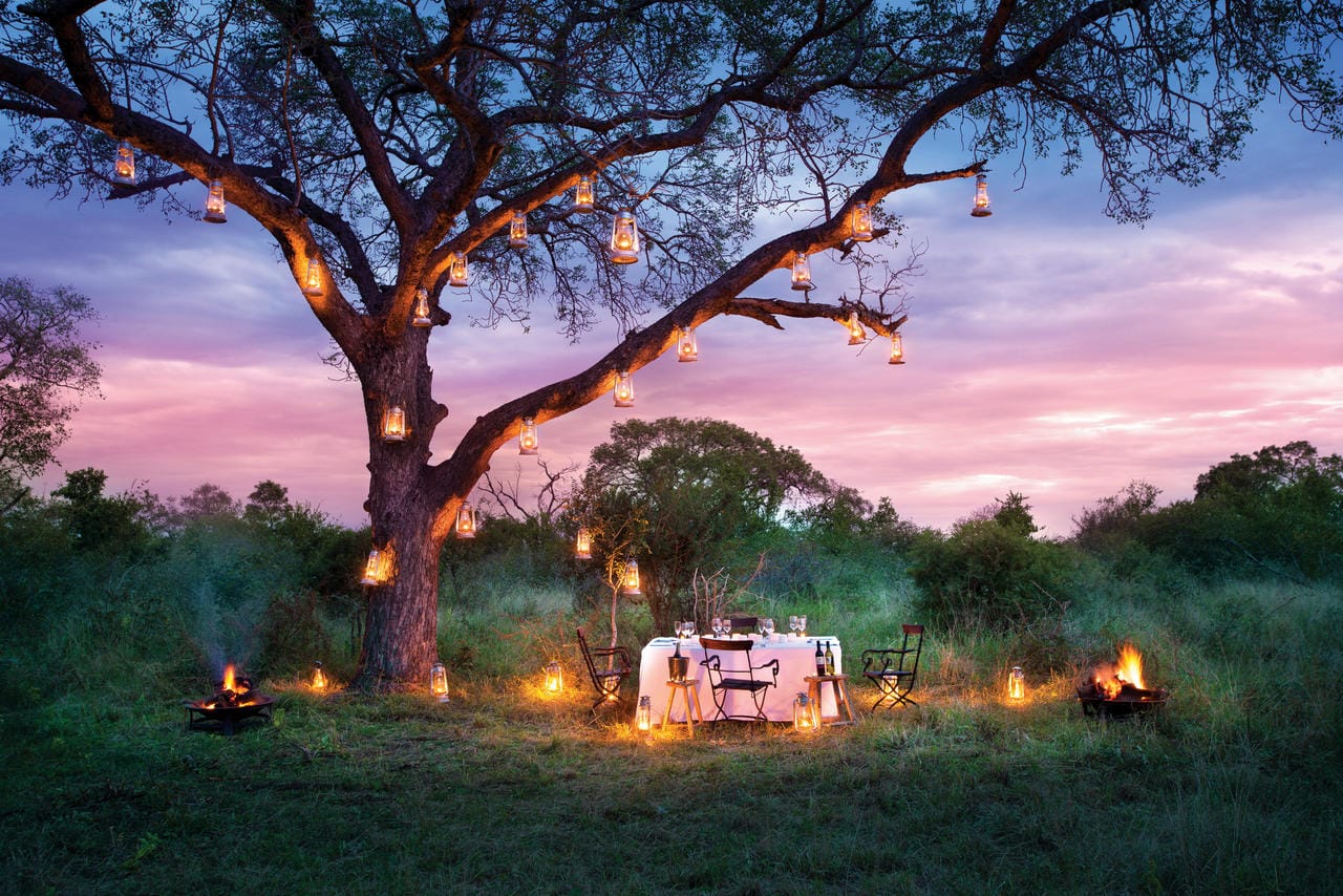 Lion Sands Tinga Lodge, Kruger National Park, South Africa - 2023 / 2024