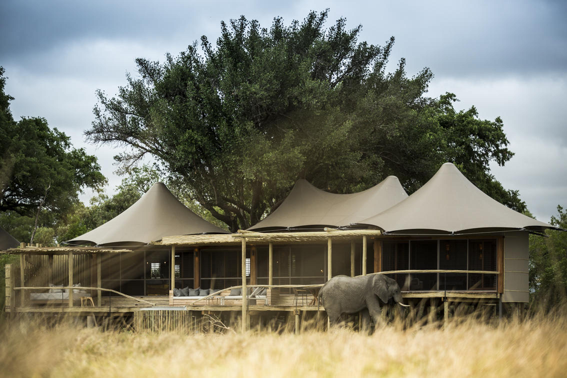 Little Mombo Camp, Okavango Delta, Botswana - 2025 / 2026