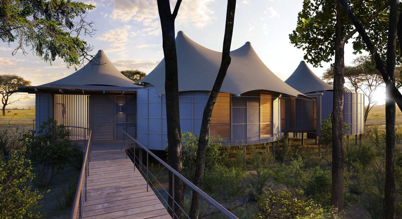 Mombo Camp, Okavango Delta, Botswana - 2021 / 2022