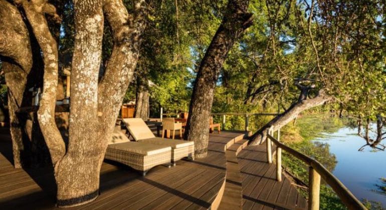 Mfuwe Lodge, South Luangwa National Park, Zambia - 2019 / 2020