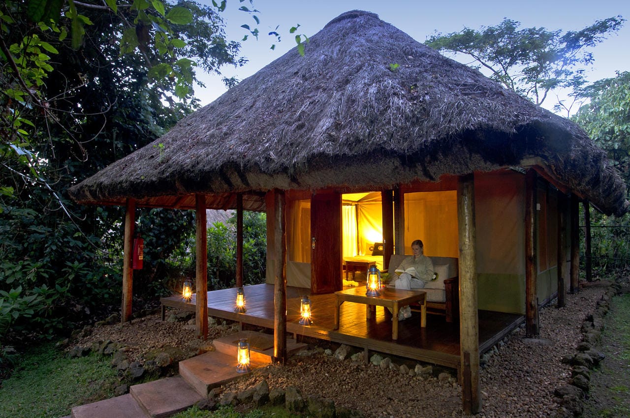 Sanctuary Gorilla Forest Camp, Bwindi Impenetrable National Park ...