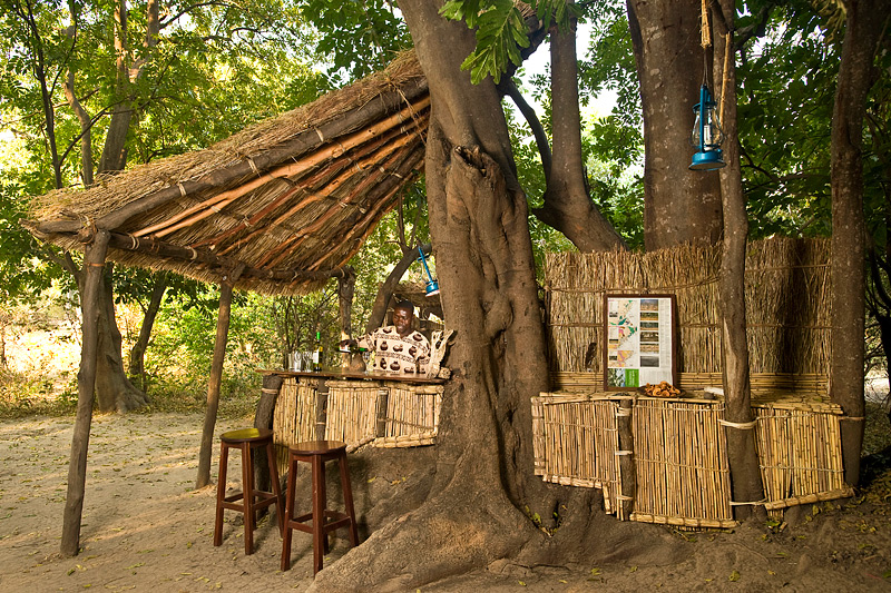 Chikoko Trails, South Luangwa National Park, Zambia - 2021 / 2022