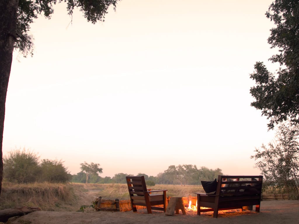 Chikoko Trails, South Luangwa National Park, Zambia - 2021 / 2022