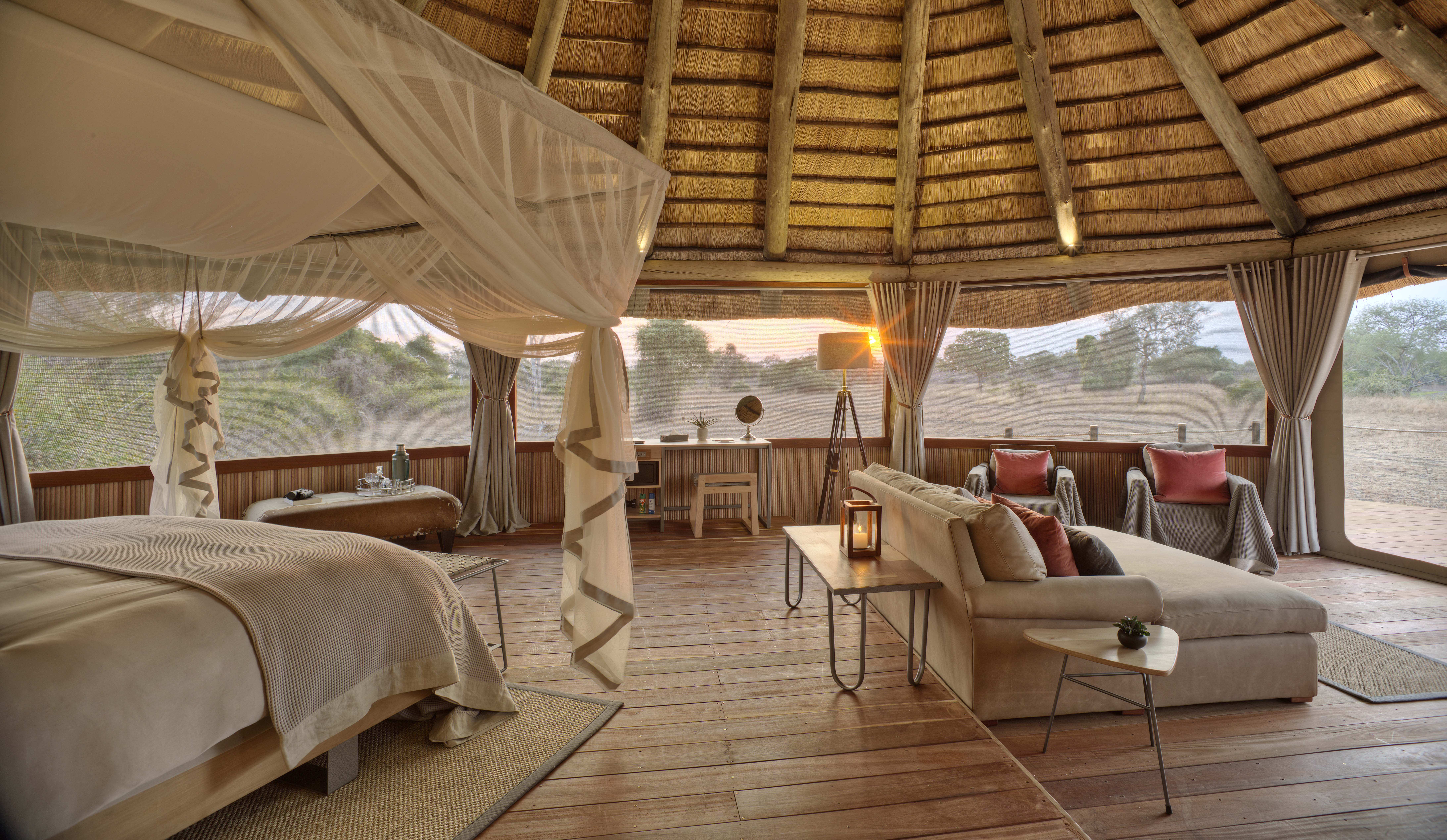 Lion Camp, South Luangwa National Park, Zambia - 2023 / 2024