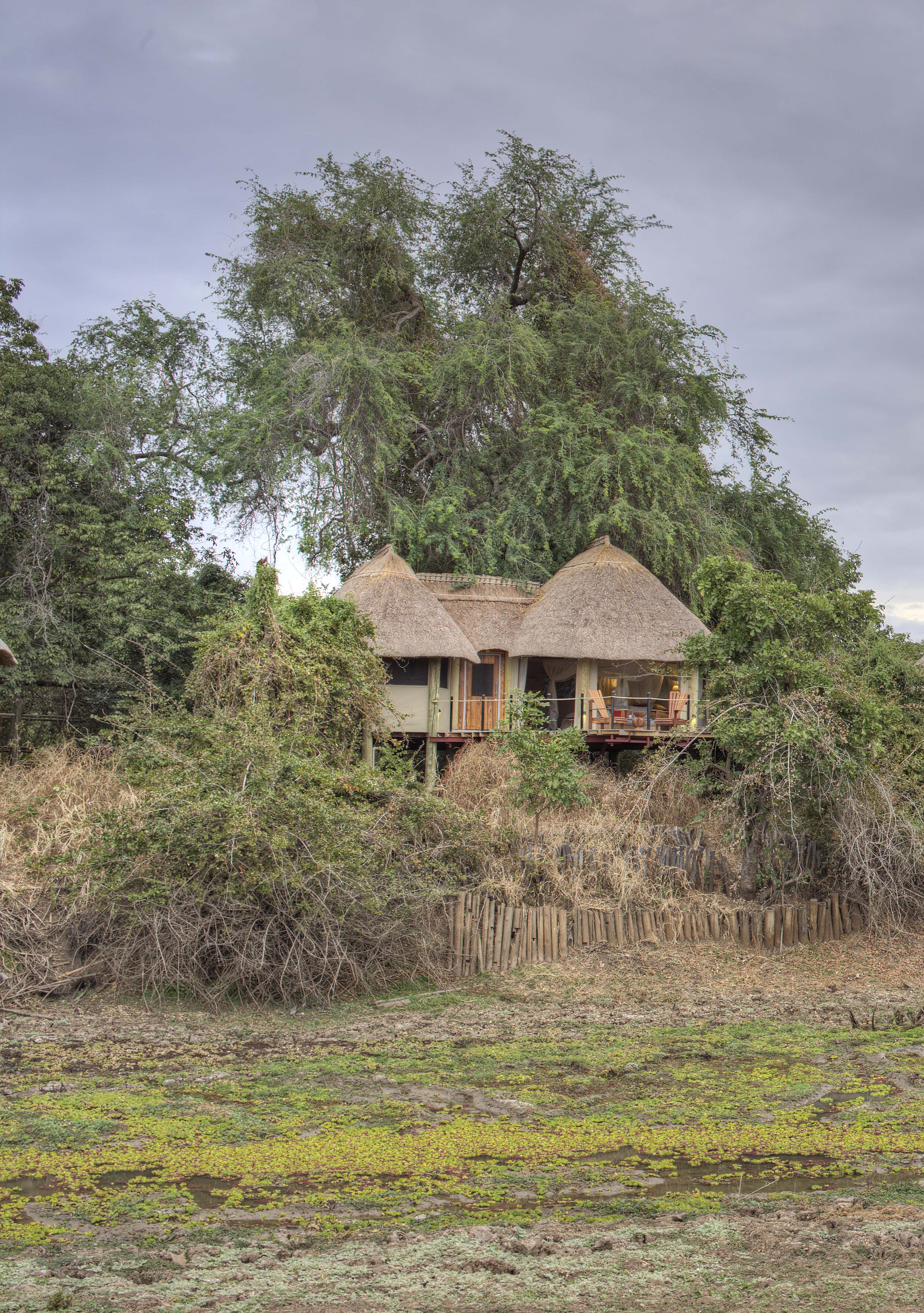 Lion Camp, South Luangwa National Park, Zambia - 2023 / 2024