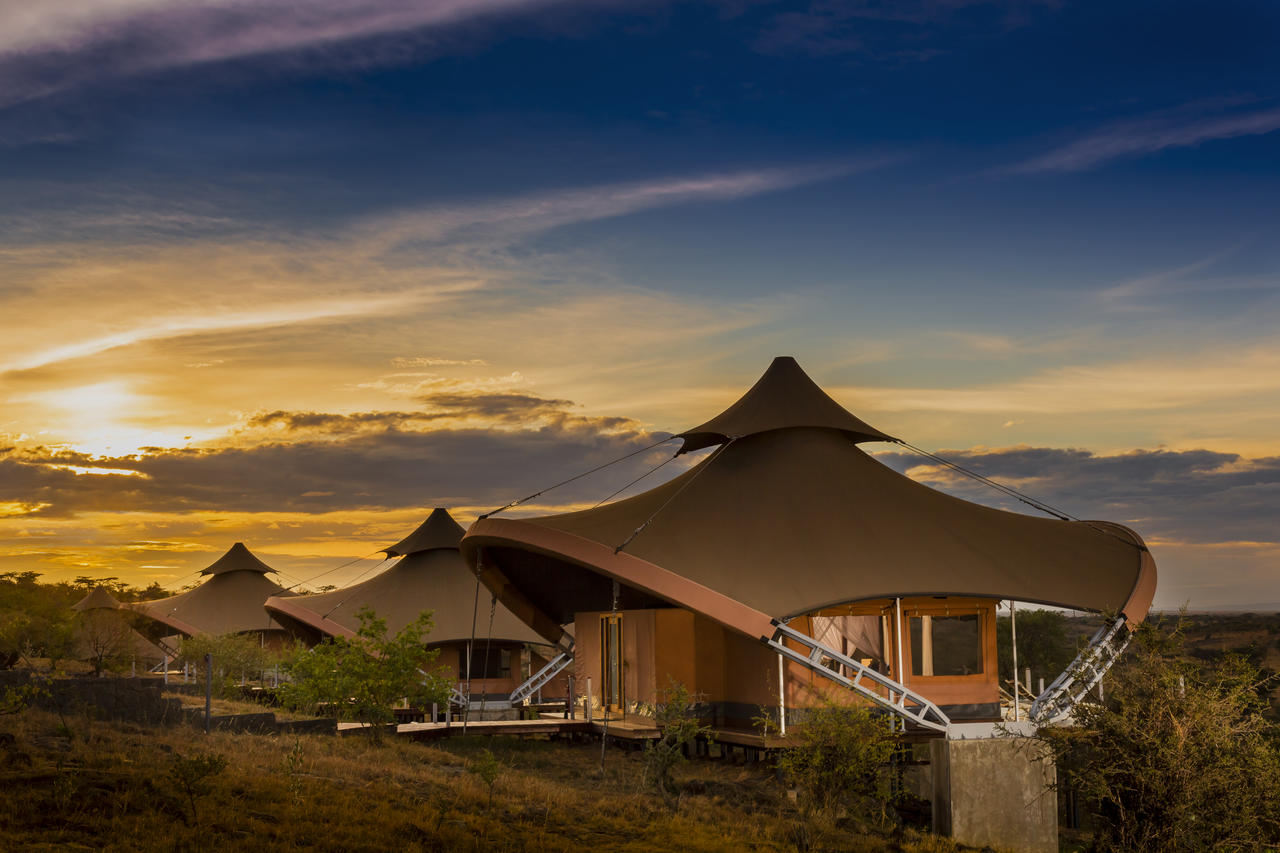 Mahali Mzuri, Masai Mara National Game Reserve, Kenya - 2023 / 2024