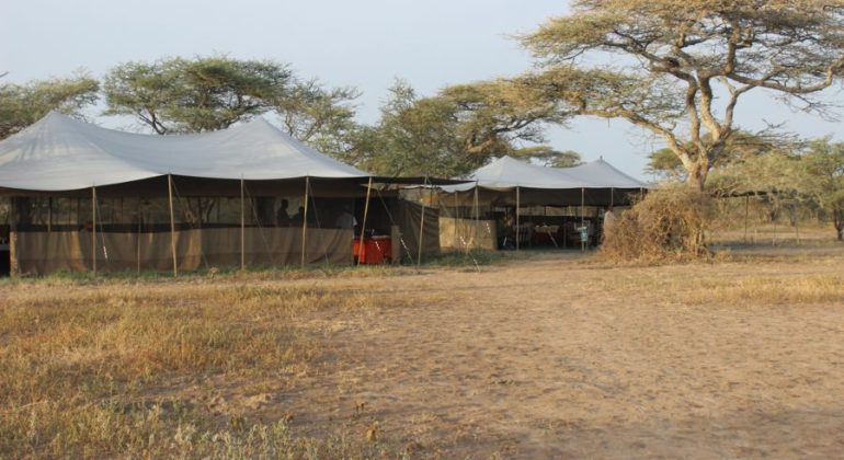 Ndutu Wilderness Camp, Serengeti National Park, Tanzania - 2023 / 2024
