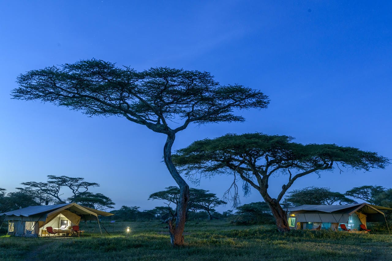 Ndutu Wilderness Camp, Serengeti National Park, Tanzania - 2023 / 2024