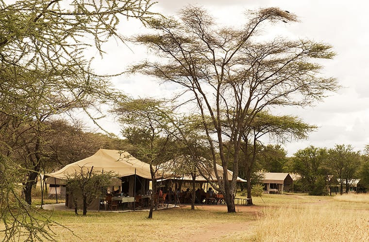 Ndutu Kati Kati Tented Camp, Serengeti National Park, Tanzania - 2023 / ...