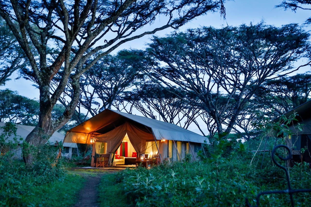 Lemala Ngorongoro Tented Camp, Ngorongoro Crater, Tanzania - 2022 / 2023
