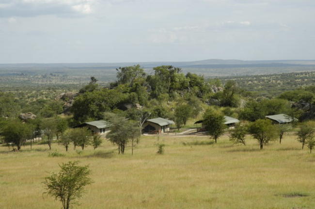 Mbuzi Mawe Serena Camp, Serengeti National Park, Tanzania - 2023 / 2024