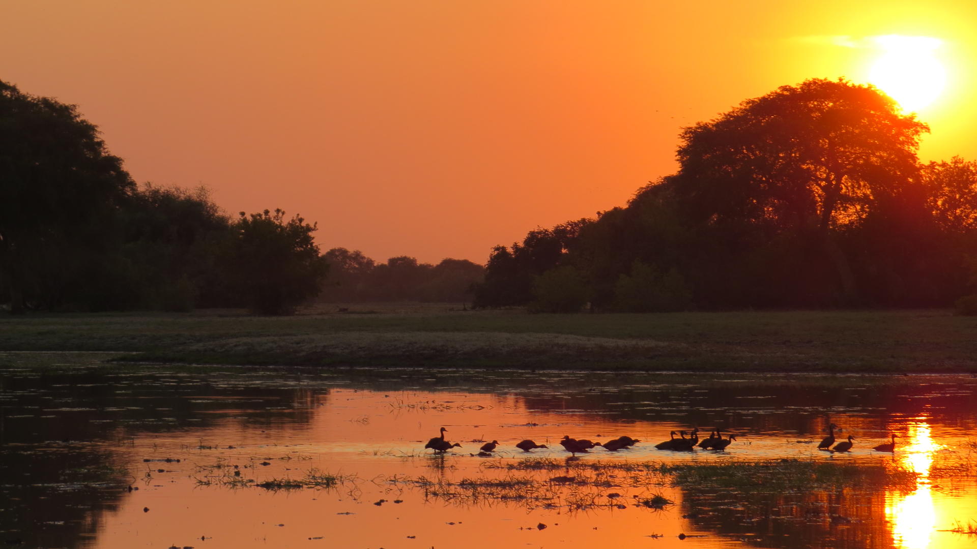Safari to Zakouma National Park, Chad - 2020 - Chalo Africa