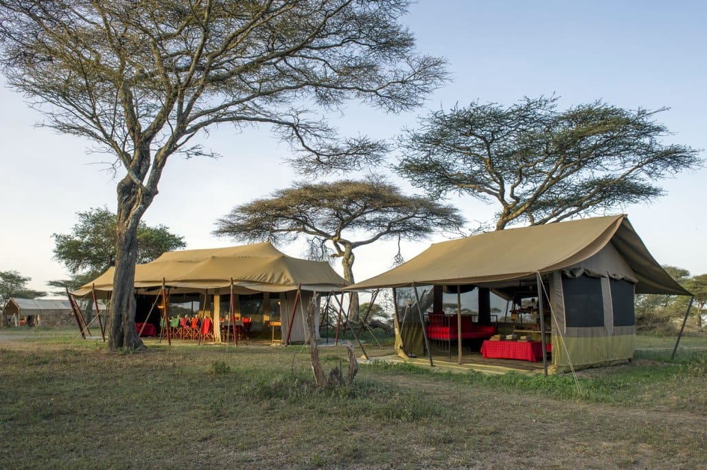 Camp Zebra, Serengeti National Park, Tanzania - 2021 / 2022