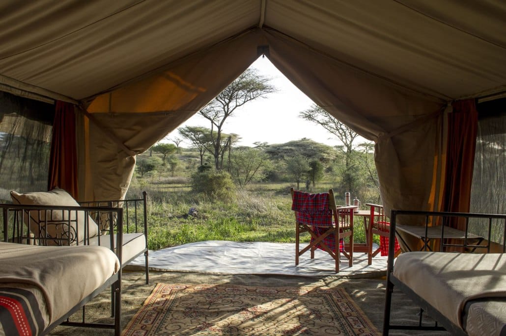 Camp Zebra, Serengeti National Park, Tanzania - 2022 / 2023