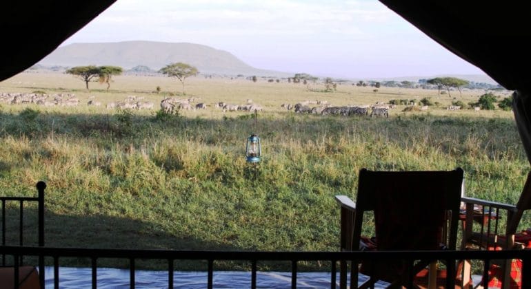 Camp Zebra, Serengeti National Park, Tanzania - 2022 / 2023