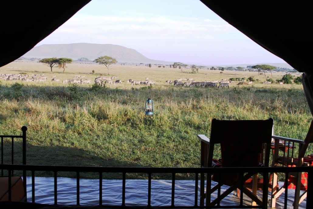 Camp Zebra, Serengeti National Park, Tanzania - 2021 / 2022