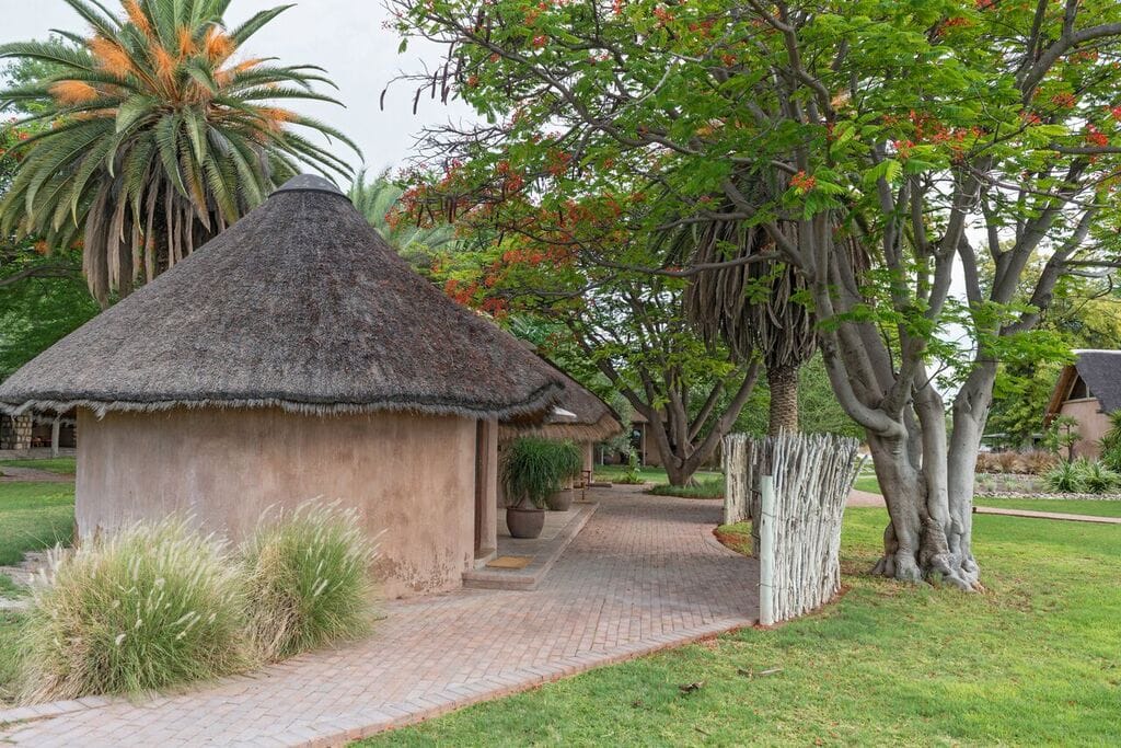 Onguma Bush Camp, Etosha, Namibia - 2022 / 2023