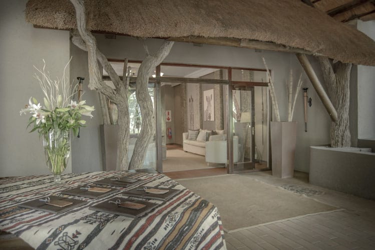 Shiduli Private Game Lodge, Greater Kruger, South Africa - 2023 / 2024