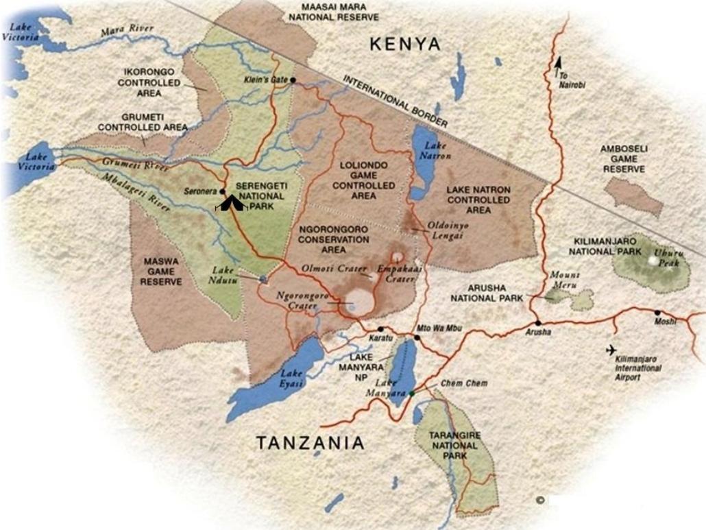 Siringit Serengeti Camp, Serengeti National Park, Tanzania - 2023 / 2024