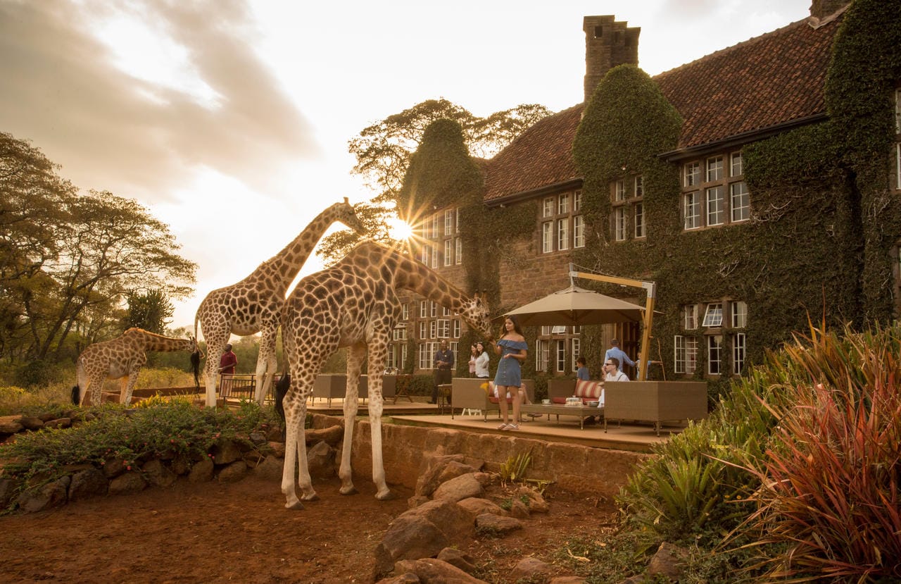 The Safari Collection Special Offers - 2025 / 2026