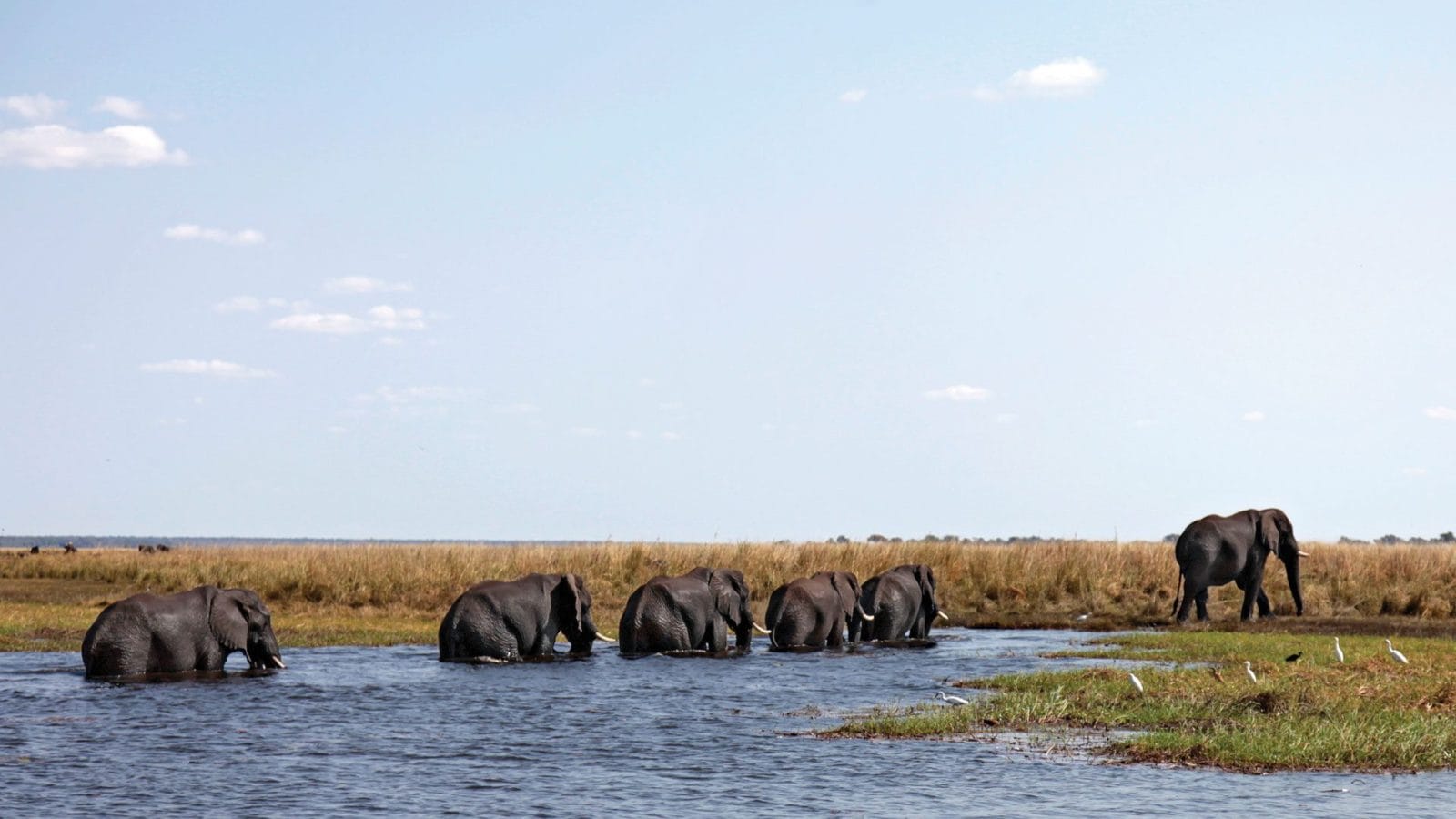 andBeyond Botswana Special Offers - Chalo Africa