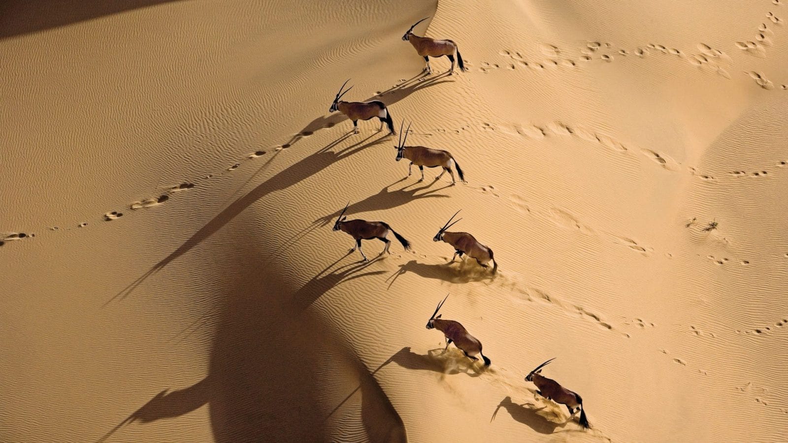 andBeyond Namibia Special Offers - 2026 / 2027