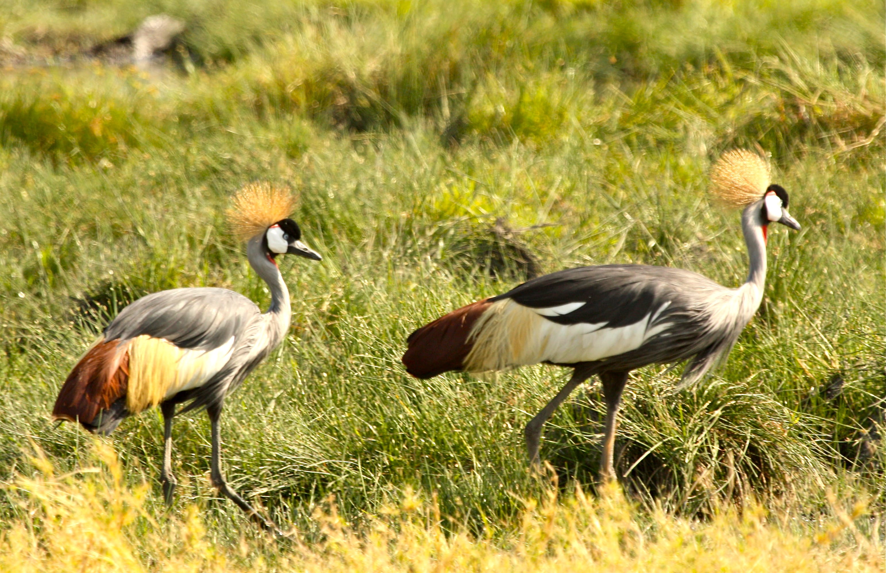 Robin Pope Special Offers - 2025 / 2026