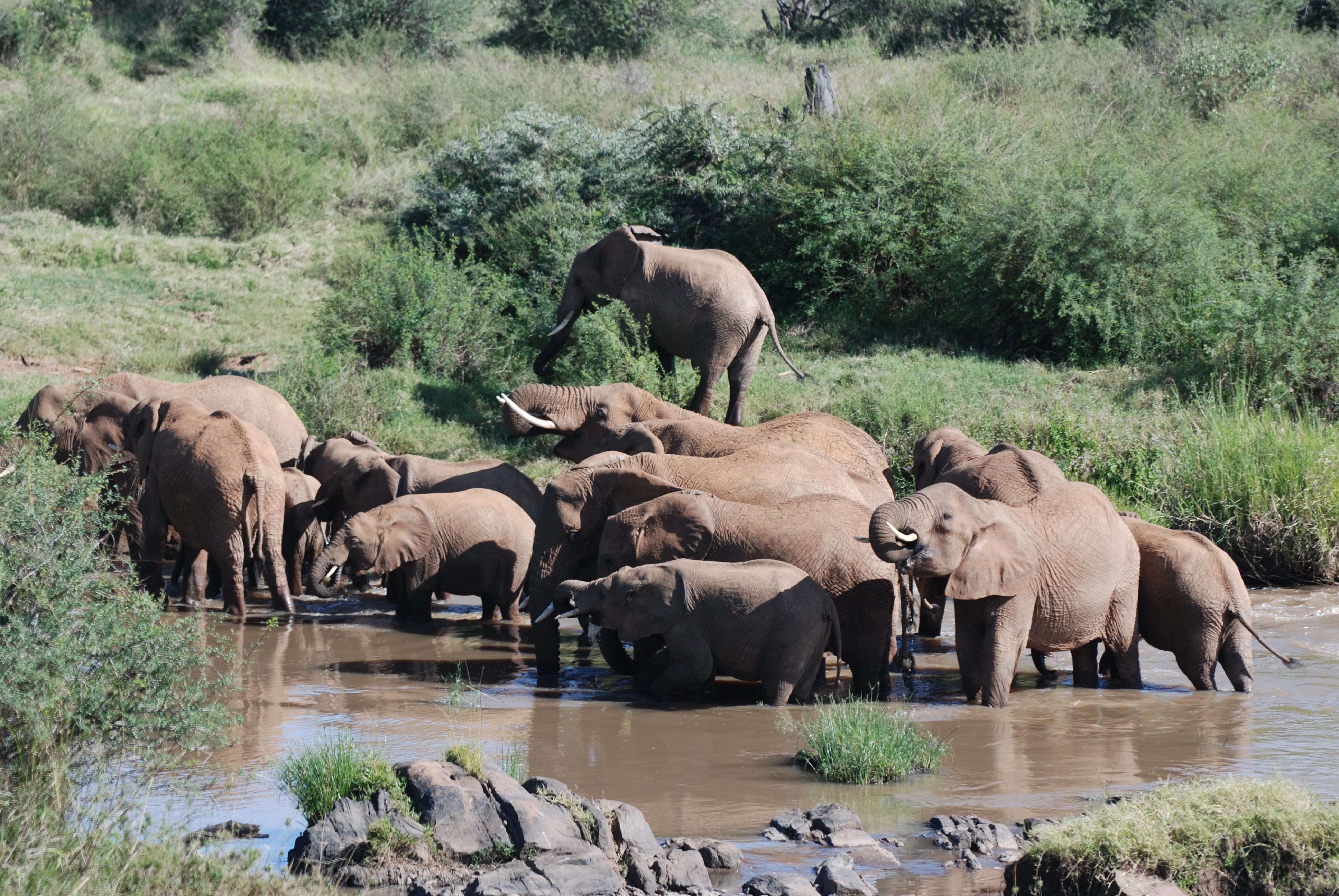 Sosian Lodge Special Offers - 2026 / 2027