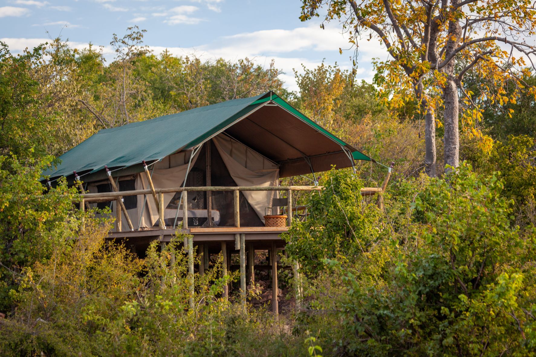 Deteema Springs, Hwange National Park, Zimbabwe - 2023 / 2024