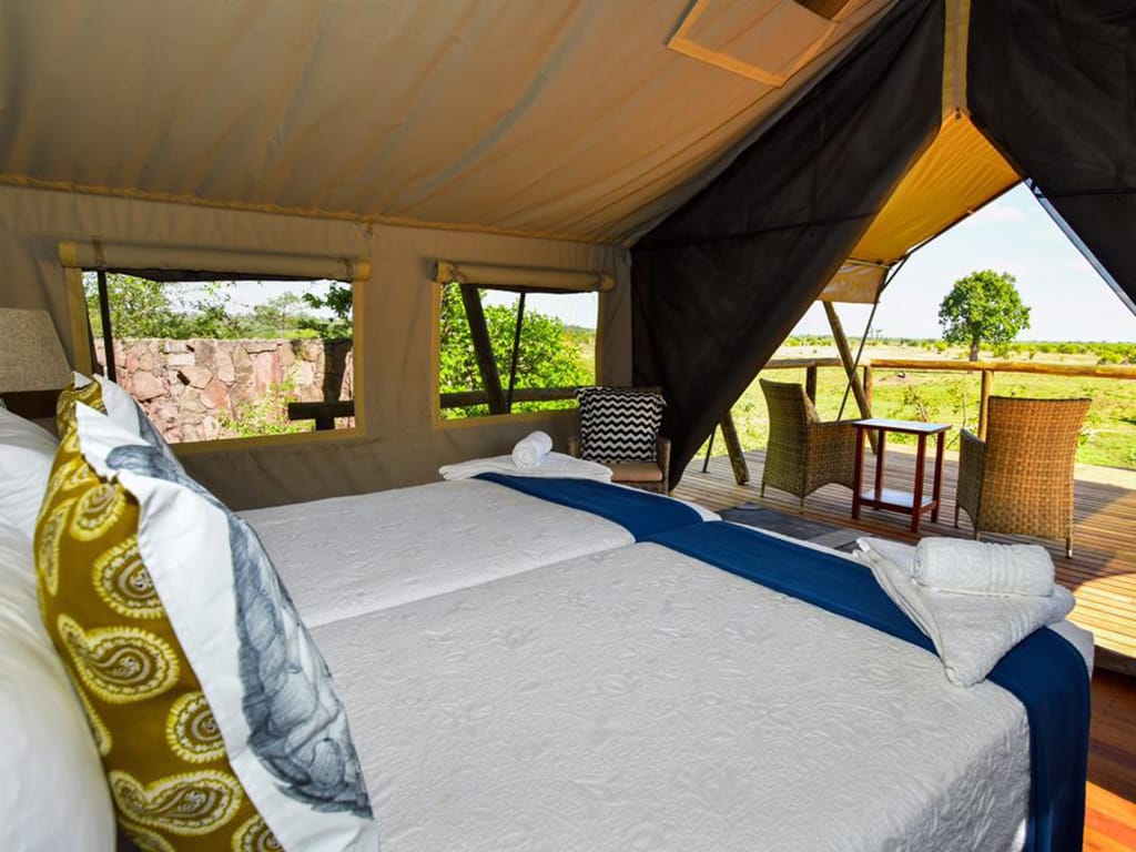 Deteema Springs, Hwange National Park, Zimbabwe - 2021 / 2022