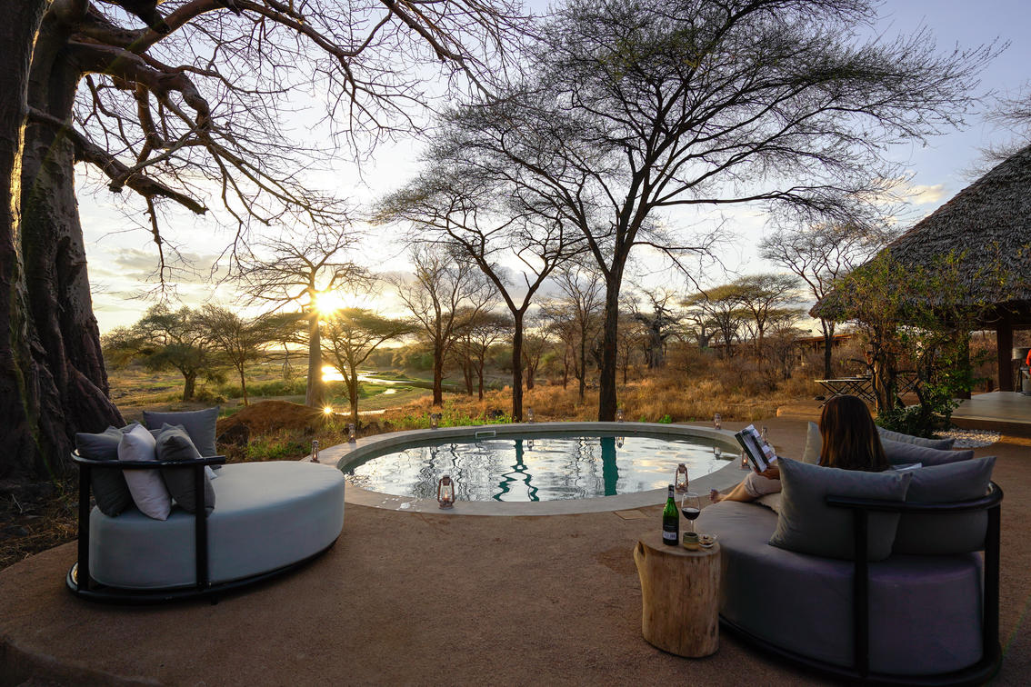 Asanja Ruaha Camp, Ruaha National Park, Tanzania - 2025 / 2026