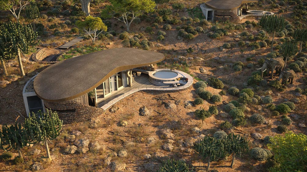 Mashatu Euphorbia, Mashatu Game Reserve, Botswana - 2022 / 2023