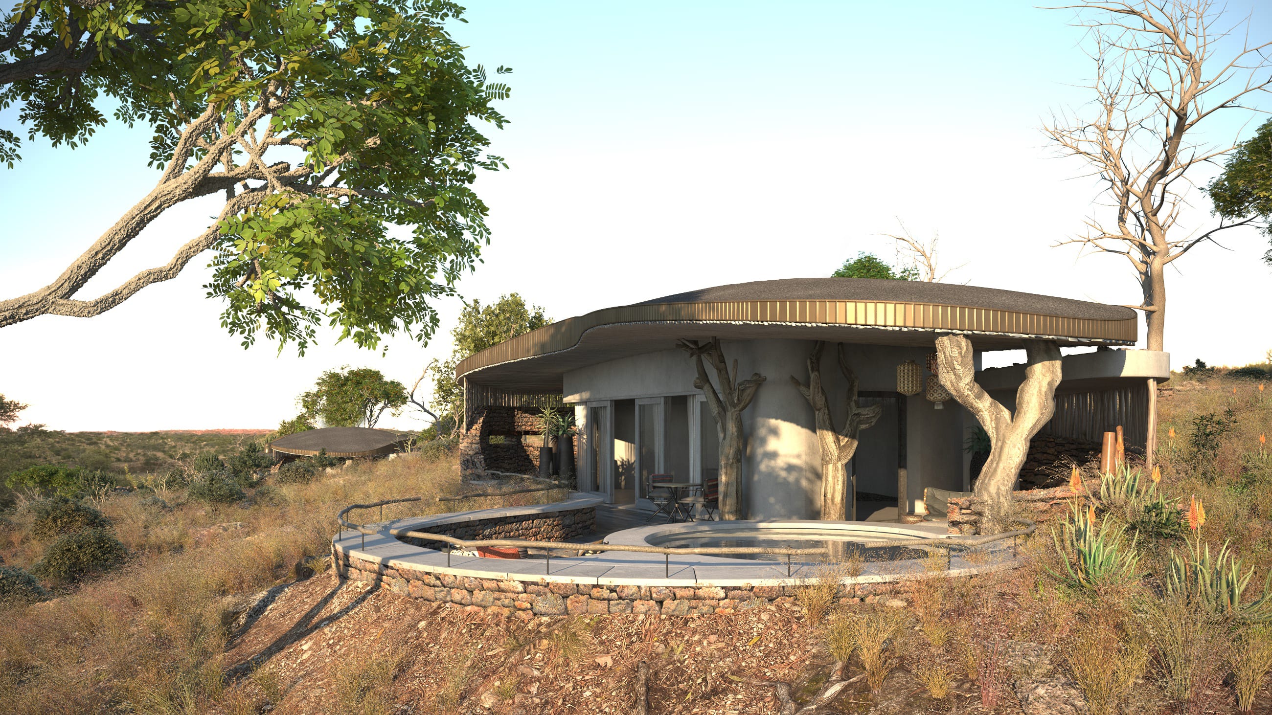 Mashatu Euphorbia, Mashatu Game Reserve, Botswana - 2022 / 2023