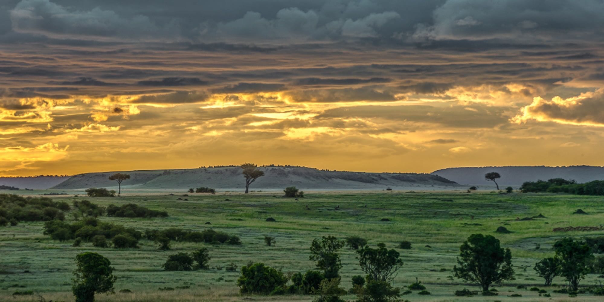 Entim Camp, Masai Mara, Kenya - 2022 / 2023