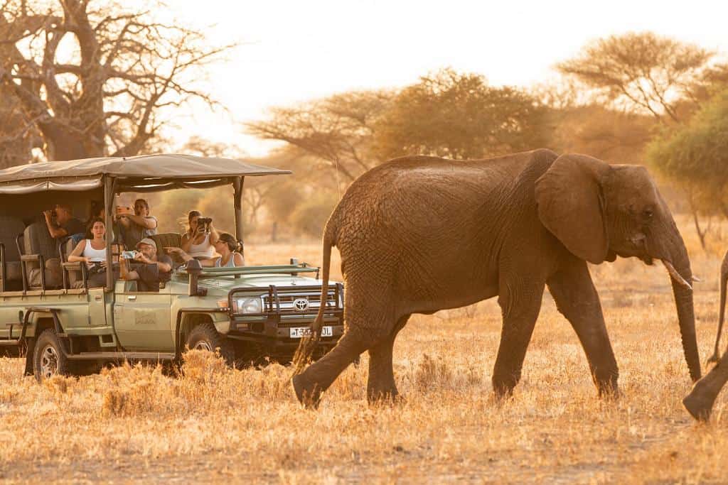 Entara Lodges and Camps Special Offers - 2025 / 2026