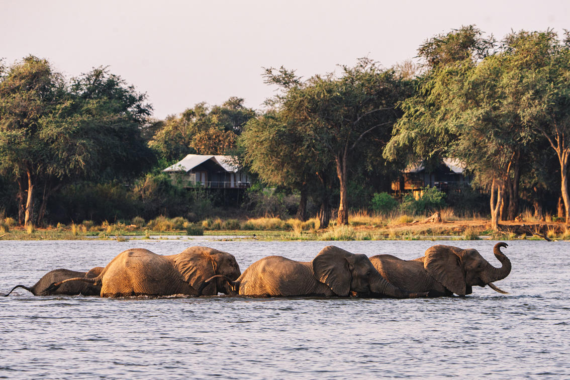 Two Rivers - 8N Safari to South Luangwa and Lower Zambezi - Chalo Africa