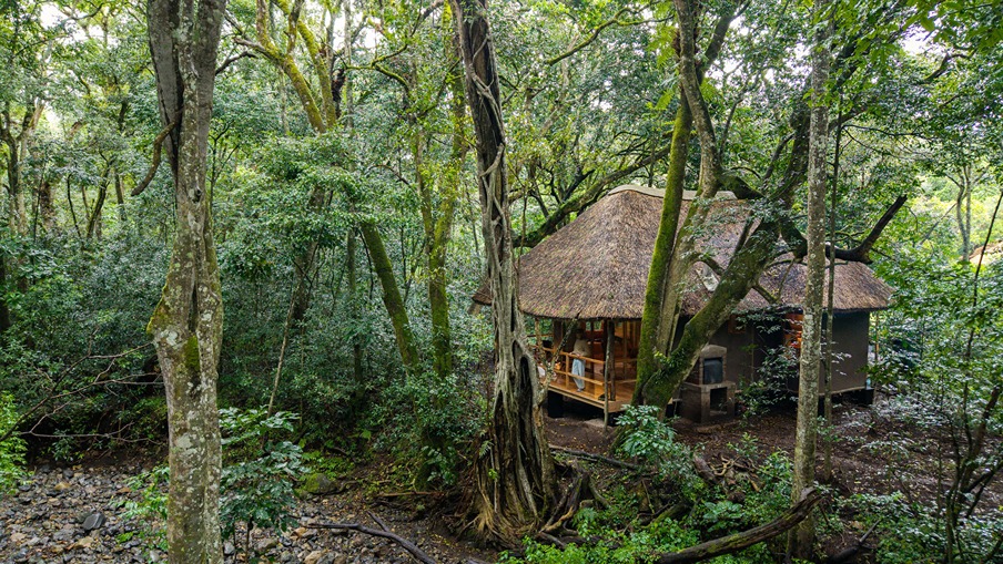 Koroi Forest Camp, Arusha National Park, Tanzania - 2025 / 2026